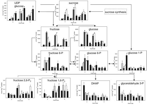 Effect Of Decreased Pfp Activity On Glycolytic Intermediates Download Scientific Diagram