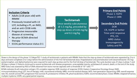 Optimizing Bispecific Antibody Therapy In Multiple Myeloma A Resource