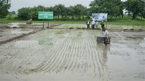 ပဲခူးတိုင်းဒေသကြီးအစိုးရအဖွဲ့၏ ဦးဆောင်မှုဖြင့် တန်ဖိုးနည်း လက်ဆွဲကောက်စိုက်စက်ဖြင့် မိုးစပါး