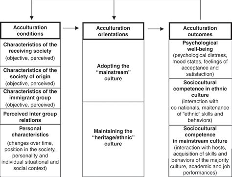 What Is Acculturation 48 Off Brunofugaadvbr