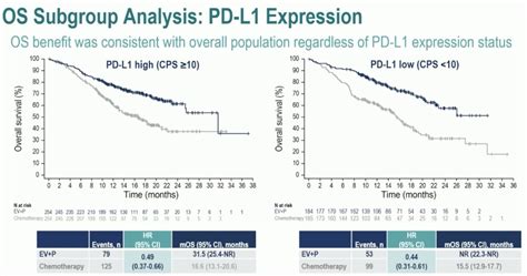 ESMO 2023 EV 302 KEYNOTE A39 Enfortumab Vedotin In Combination With