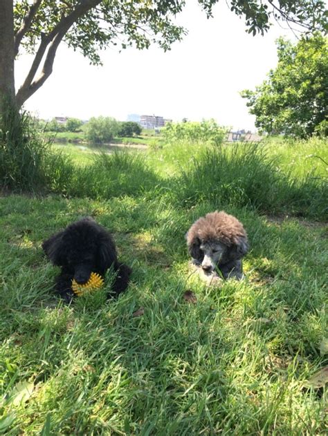 お家 Rikaco オフィシャルブログ Powered By Ameba