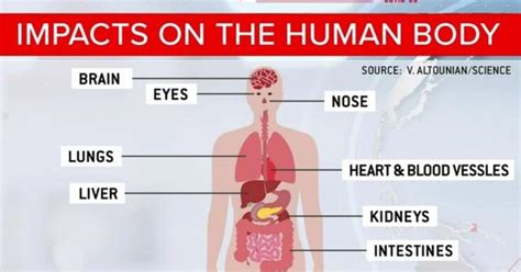 Understanding The Extent Of Damage Covid 19 Does To The Body Cbs News