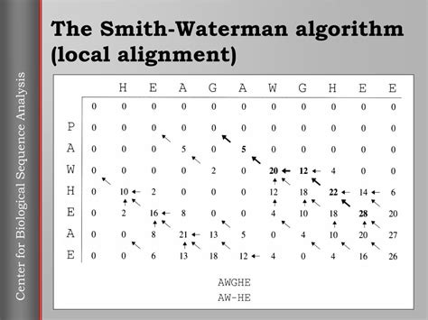 Ppt Database Searching Powerpoint Presentation Free Download Id1052614