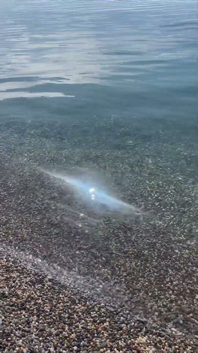 Делаю обзор на Массандровском пляже в Ялте 🌊 Youtube