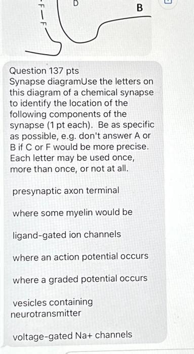 Synapse DiagramUse The Letters On This Diagram Of A Chegg Com