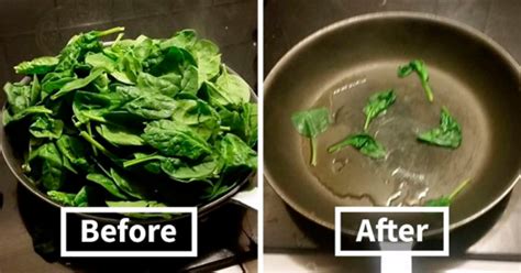 Hilarious Memes About Learning How To Cook BODi
