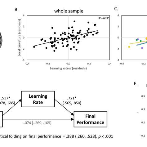 Cortical Folding Predicts Learning In Regions Undergoing Download Scientific Diagram
