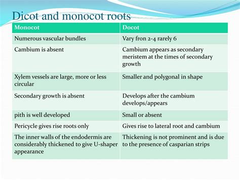 What Is Difference Between Monocot Root And Dicot Root