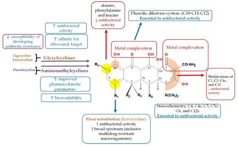 Tetracycline Antibiotics