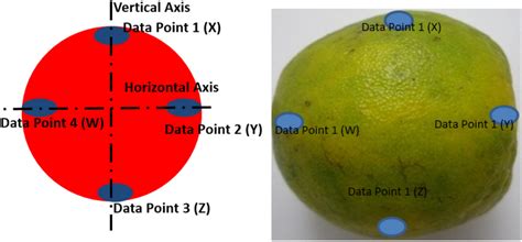 Data Acquisition Scheme Of The Handheld Ultrasonic Based Sensing System Download Scientific