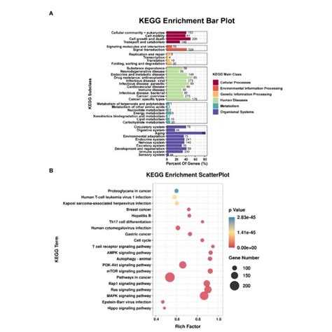 Results Of The Kegg Enrichment Analysis A Bar Plot Shows The Kegg