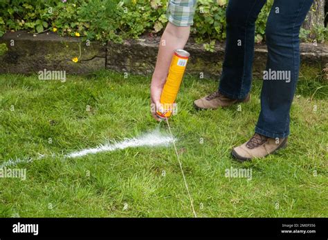 Line Marking Paint Grass At Heather Summers Blog