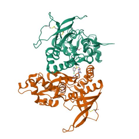 Rcsb Pdb 9mul Crystal Structure Of Glun1glun2a Ligand Binding
