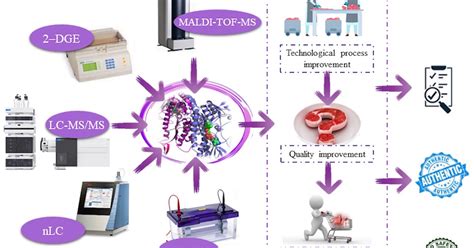News In Proteomics Research How Can Proteomics Help The Processed Meat Industry
