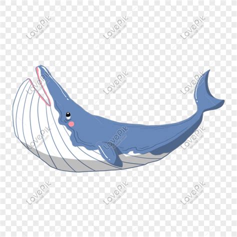 手繪線條鯨魚插畫圖片素材 PSD圖片尺寸 px 高清圖案 zh lovepik