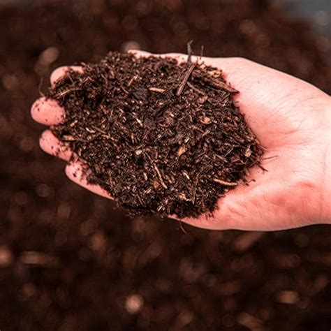 Bark Compost Premium Sustainable Growing Medium For Professional