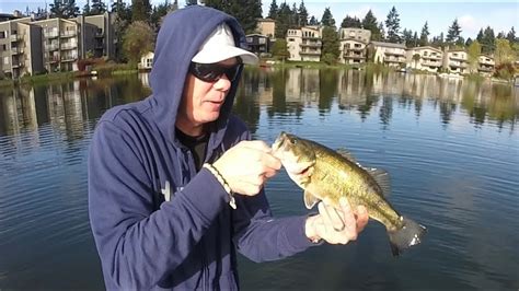 Pre Spawn Bass Fishing With Jigs And Senkos Youtube