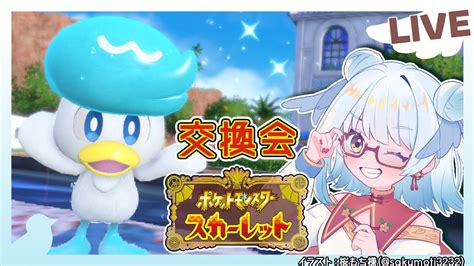 ポケモンsv 】ストーリークリア記念交換会！クワッス譲れます🦆💧【vtuber 酉目 】 Youtube
