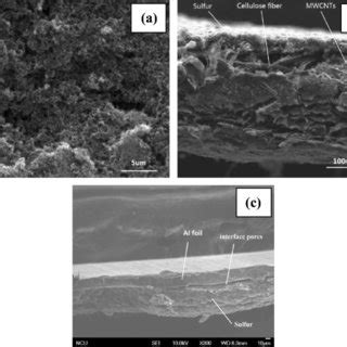 SEM Of S DTT CNTP A Top And B Cross Section And C Cross Section Of S Al Download Scientific