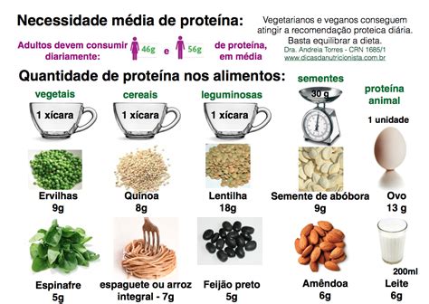 Alimentos Ricos Em Proteínas De Origem Animal E Vegetal
