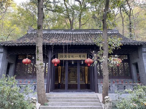 2024招隐寺游玩攻略 招隐寺在南山风景区里的招隐 去哪儿攻略
