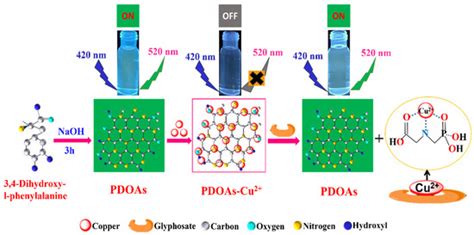 Biosensors Special Issue Fluorescent Probe For Biosensing And Cell
