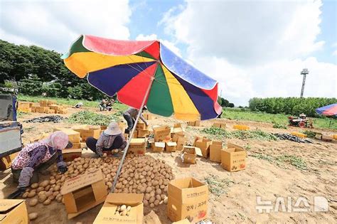 농업인 온열질환 피해 없도록한낮 작업 자제하고 수분 충분 섭취