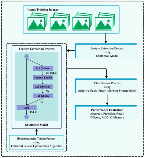 Biomimetics Free Full Text Enhanced Pelican Optimization Algorithm