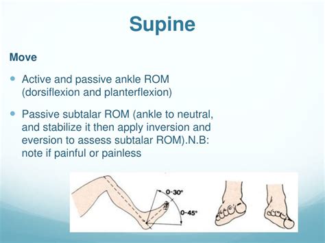 Ppt Foot And Ankle Examination Powerpoint Presentation Free Download