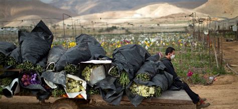 Eu Labelling Of Israeli Settlement Products One Step In The Right