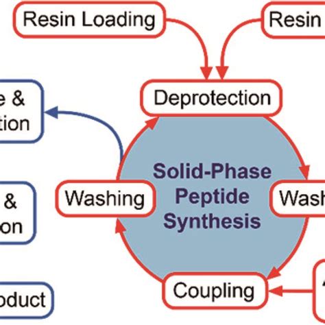 Overview Of The Spps Cycle And Subsequent Deprotection Work Up And Download Scientific Diagram