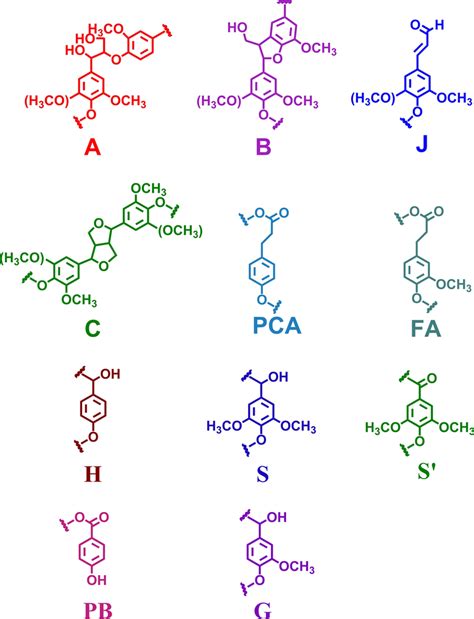 Molecular Structure Of Lignin Components β O 4 Structures Alkyl Aryl