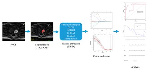 Life Free Full Text Radiomics Nomogram Based On High B Value Diffusion Weighted Imaging For