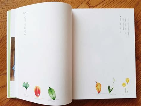 알라딘서재 오늘 당신이 만나는 꽃그림 보태니컬아트