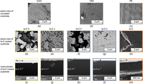 Plane‐view Sem Micrographs Of The A C Uncoated Substrate Surfaces