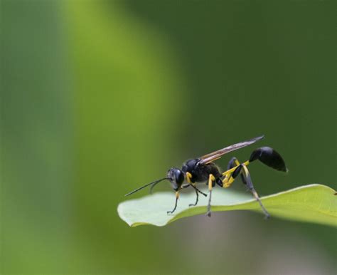 瑜伽身材 兰草tls 富士胶片影赛 Fujifilm