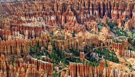 What Environment Is Likely To Form Siltstone Or Shale Sciencing