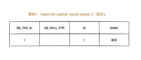 MySQL CSLN
