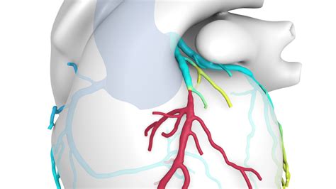 Heartflow Analysis Improving Patient Care And Saving Millions Of