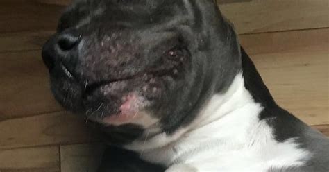 Need Points To Message Secret Santa Album On Imgur