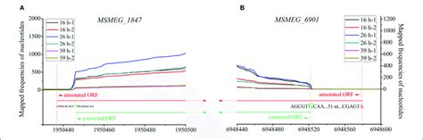 Transcriptional Maps And Gene Structural Re Annotation Of Msmeg1874