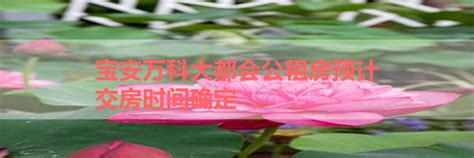 宝安万科大都会公租房预计交房时间确定深圳之窗