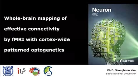 빔프로젝터를 이용한 광유전학 기술을 활용한 뇌 활성지도 작성 연구 Youtube