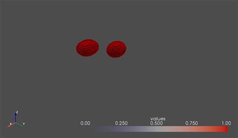 Getting Started With Segmentations Shapeworks