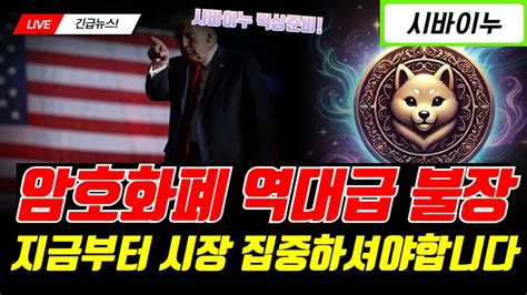 시바이누코인 💎 역대급 불장 찾아온다했죠 지금부터라도 준비하세요 Youtube