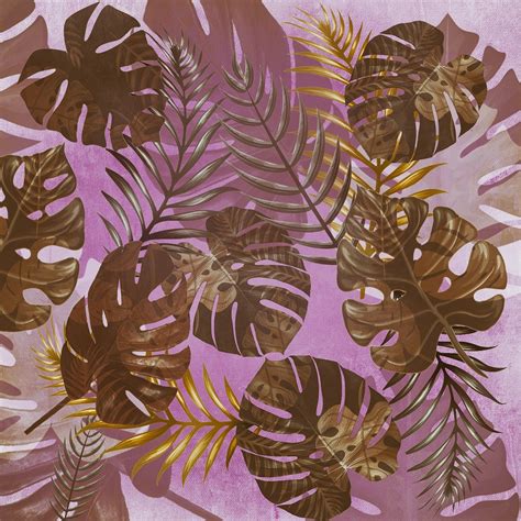 700 무료 몬스테라 And 자연 이미지 Pixabay