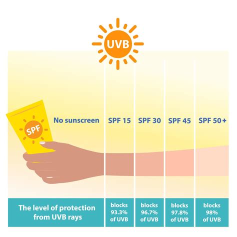 The Different Levels Of Spf Sunscreen Protect Uvb Rays Vector On White Background Comparison Of