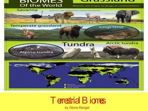 Biomes Webquest Ppt