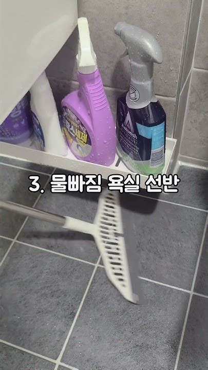 다이소에도 없는 가성비 욕실 정리 꿀템 4가지 정리 Youtube